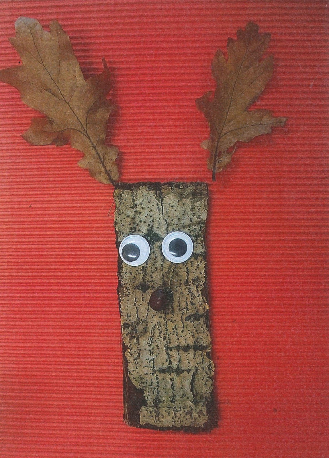 Ysgol Tir Morfa Latest News