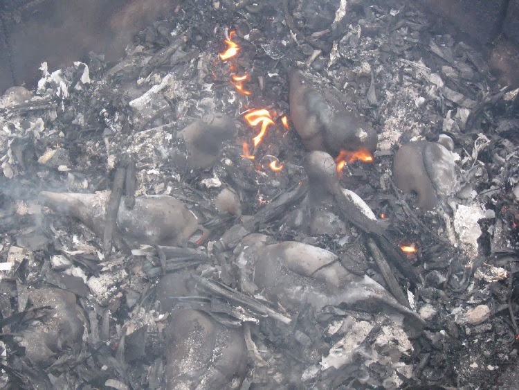 Julie Branch: Pigeons