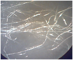 FIBRAS TEXTILES: LABORATORIO DE FIBRAS