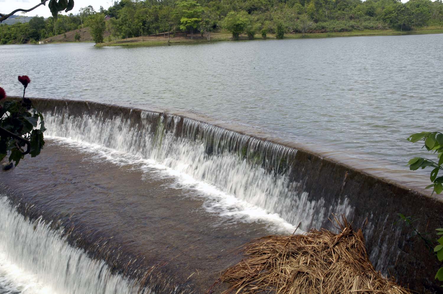 Objek Wisata Alam di Provinsi Bengkulu: Senandung Lembayung di Danau Picung