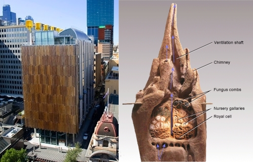 Sustainable Design & Materials: Biomimicry Explored.