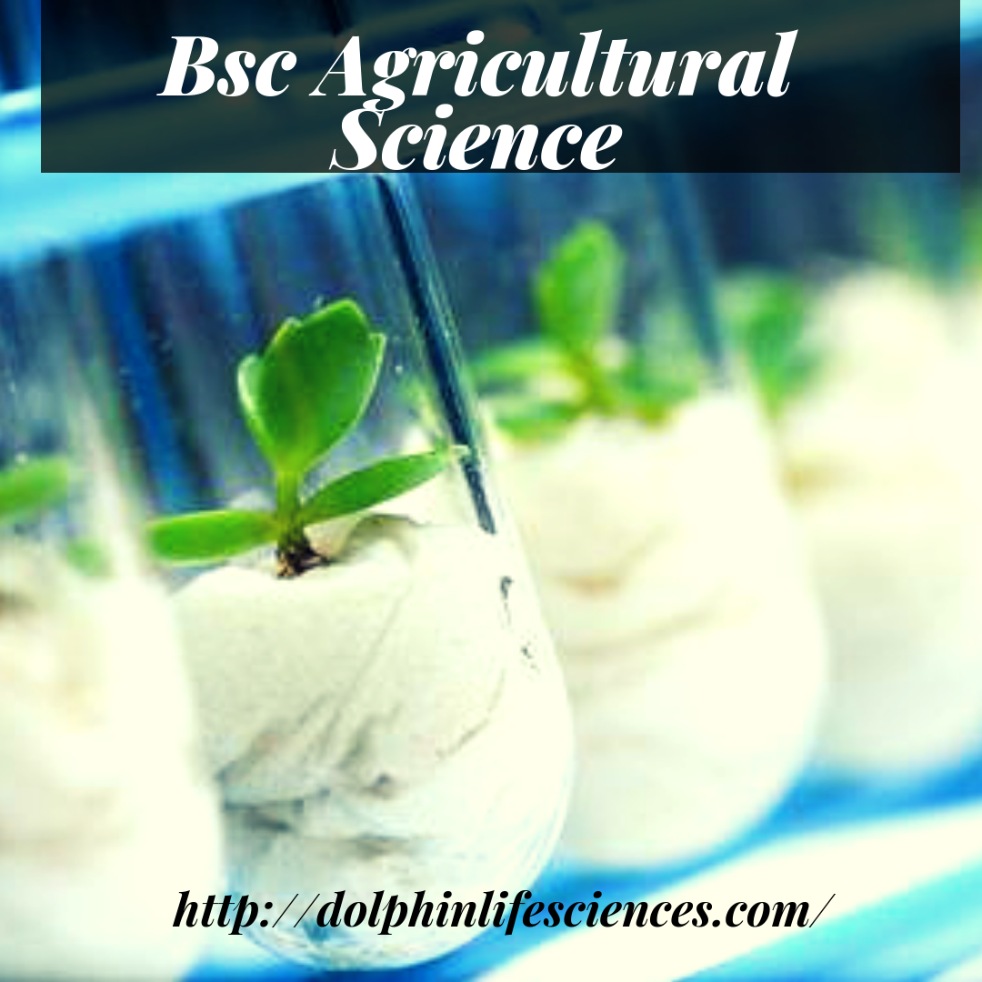 Reason to Choose BSc Agricultural Science in 2019