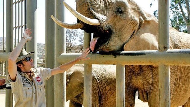 Adventures of a Zookeeper: What is Protected versus Free Contact?