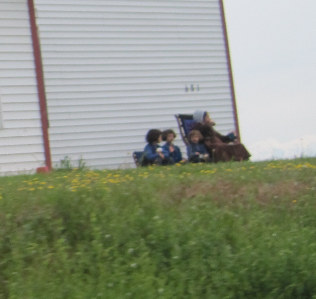 Our Little Red Saltbox: The Amish Way of Living...