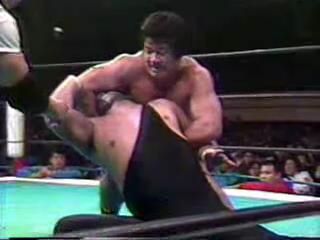 PURORESU, PRO-WRESTLING IN JAPAN: THE FASCINATION OF FUJINAMI