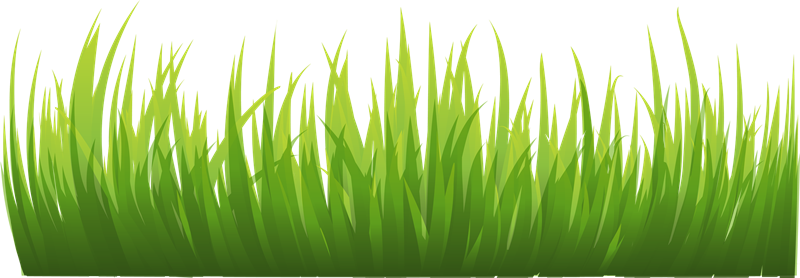 ® Imágenes y Gifs Animados ®: IMÁGENES DE CÉSPED O GRAS