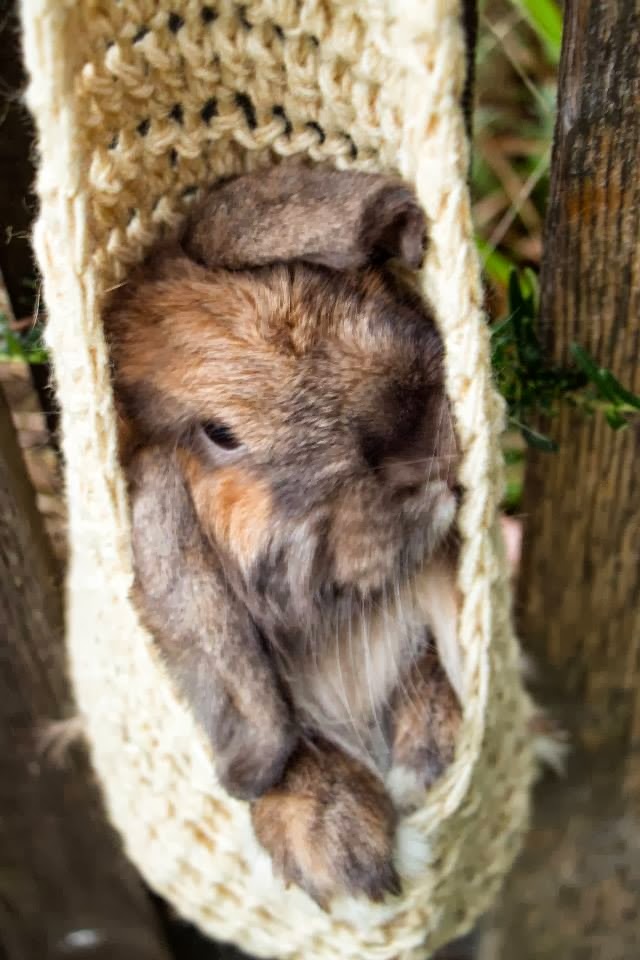 Way out where?: Bunny Sling