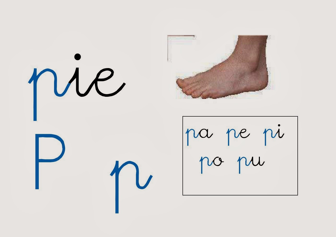 La cajita de sorpresas: CONOCEMOS LA P