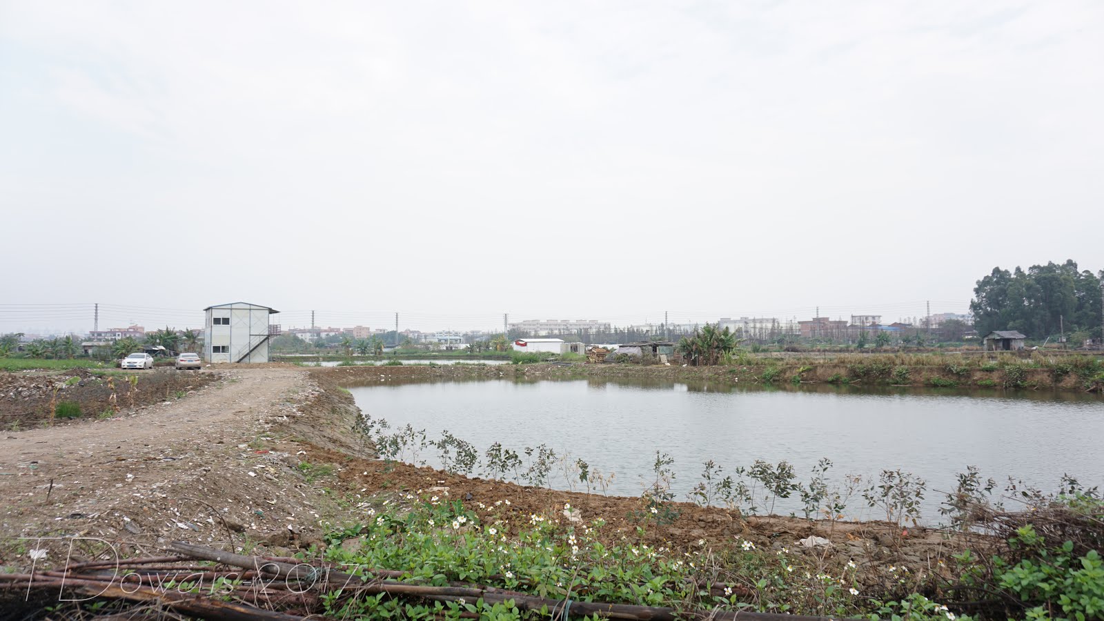 تركي بن دويس: رحلتي لبلاد المليار نسمه