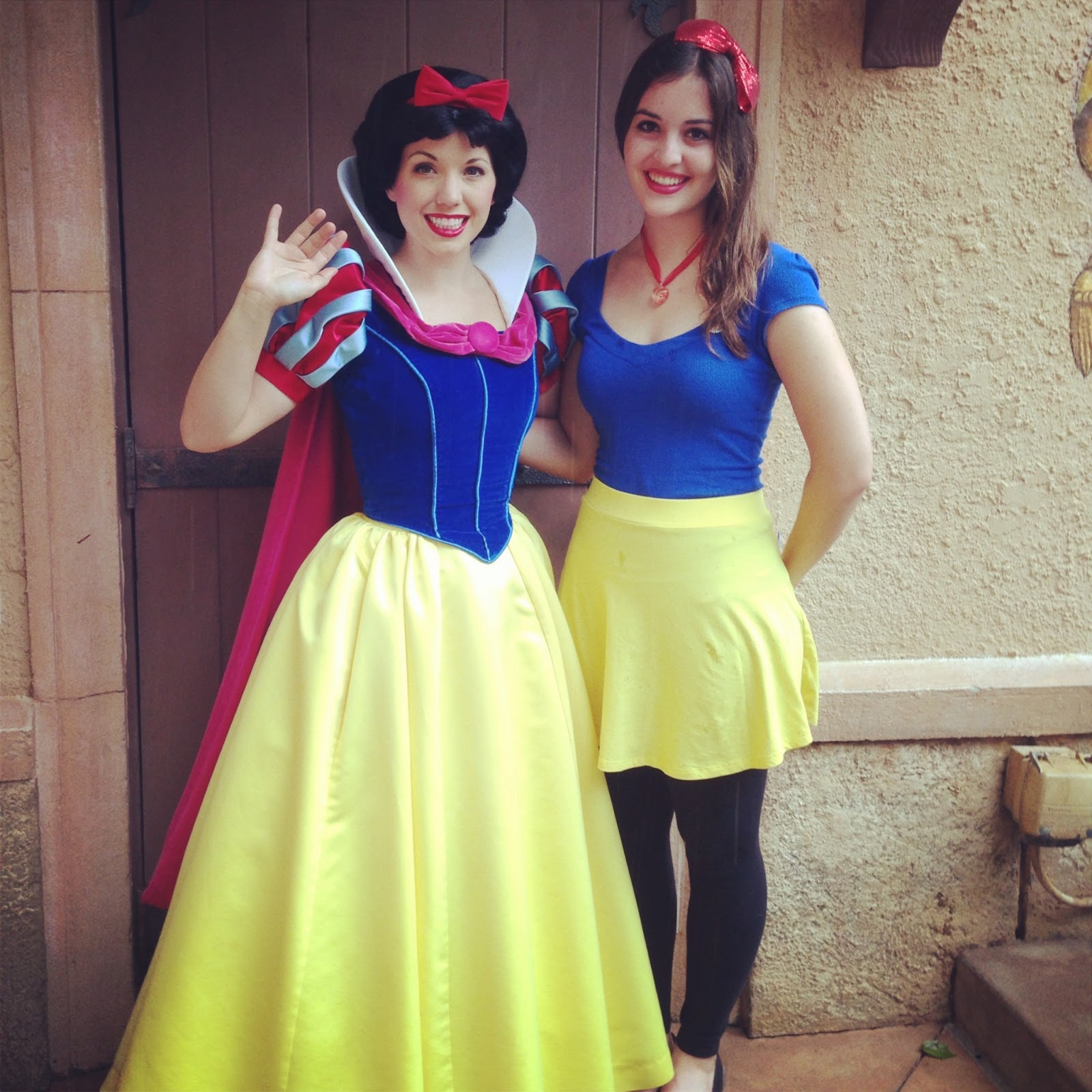 The Disney Den: My Bucket List: Meet All Disney Princesses