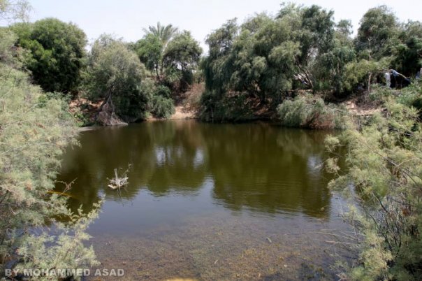 Gaza: In The Eyes Of The Beholder: Gaza's avant garde beauty revealed