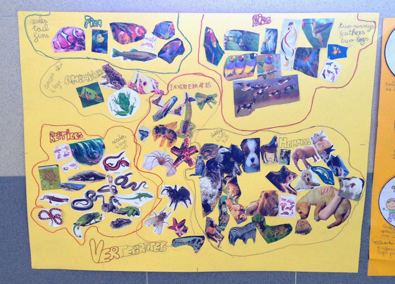 SCIENCE IN THE SCHOOL: Displays