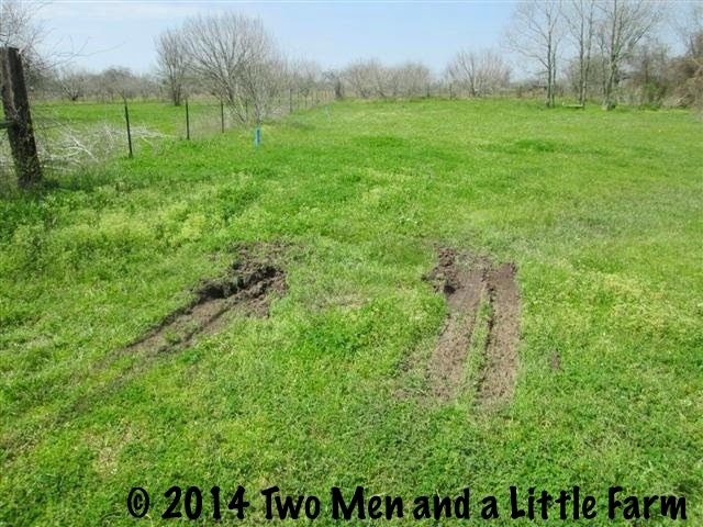 Two Men and a Little Farm: OFF TO THE FARM