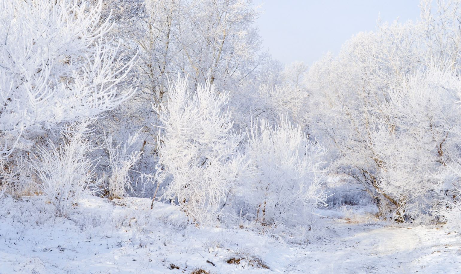 Kuvablogi: Talvimaisema