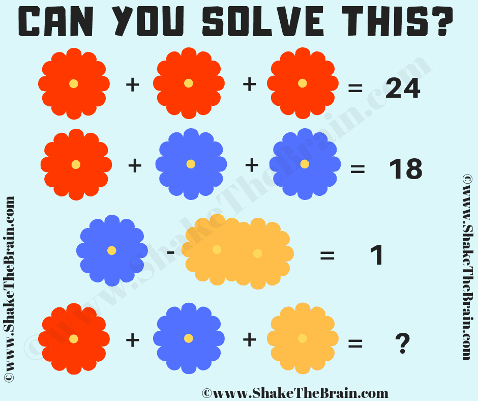 Maths Flowers Picture Equations Brain Teaser