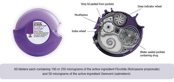 KAMPOENG ASMA: Februari 2017