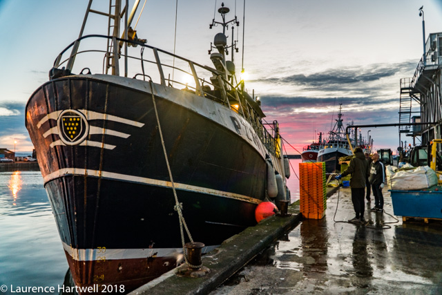 Through the Gaps! - Newlyn Fishing News: Newlyn fleet sets sail for the ...