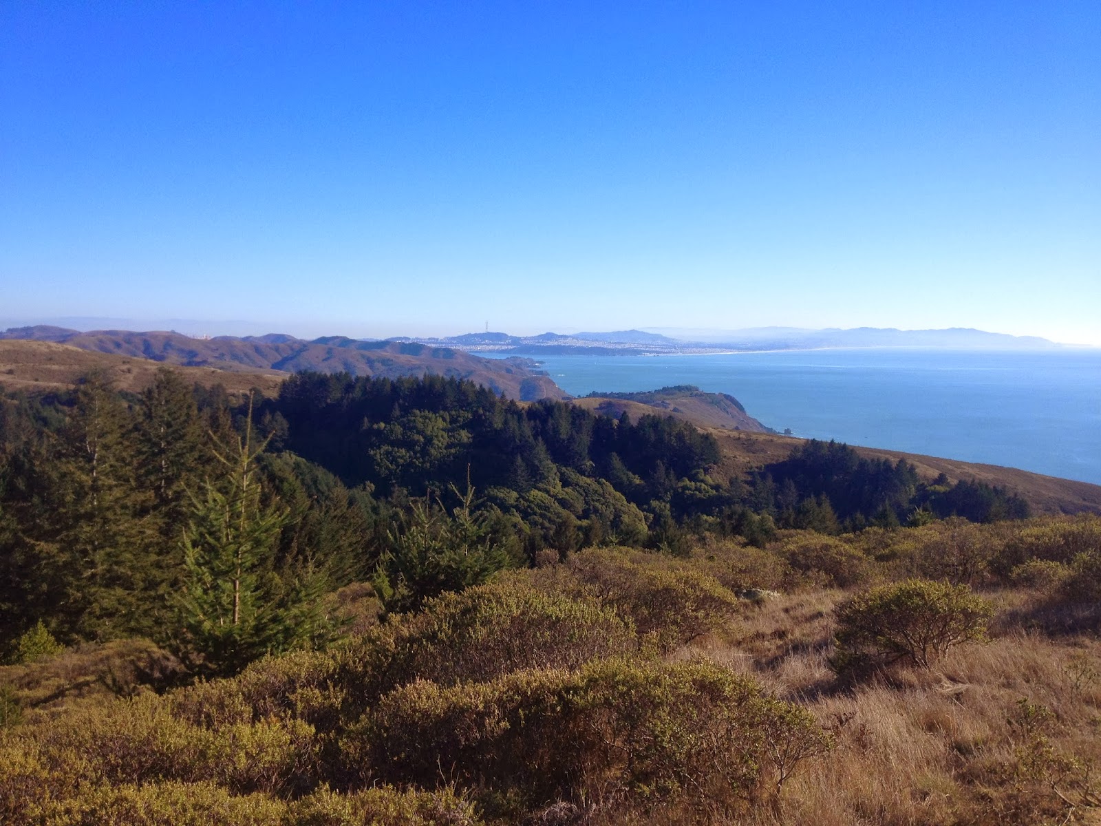 tangled sprites: Steep Ravine Marathon