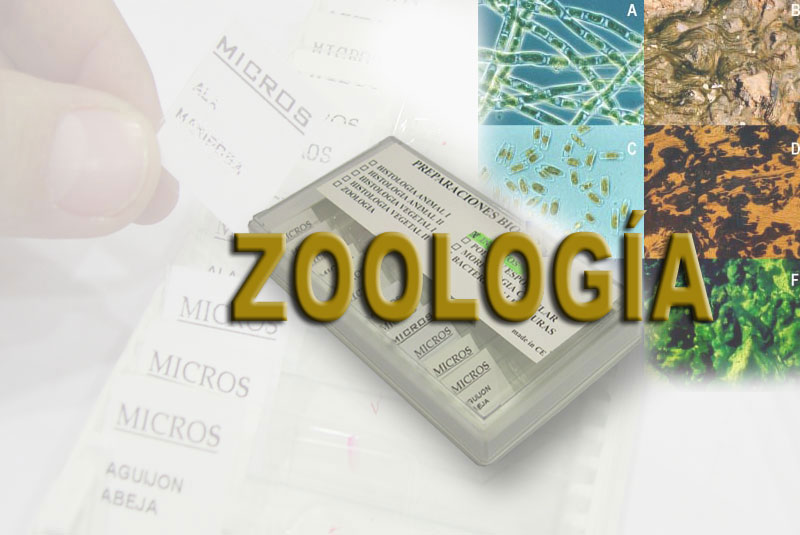 mundodeanimal: La Zoología