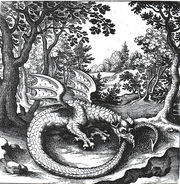 BOO-Irs: Sarpele ca simbol III