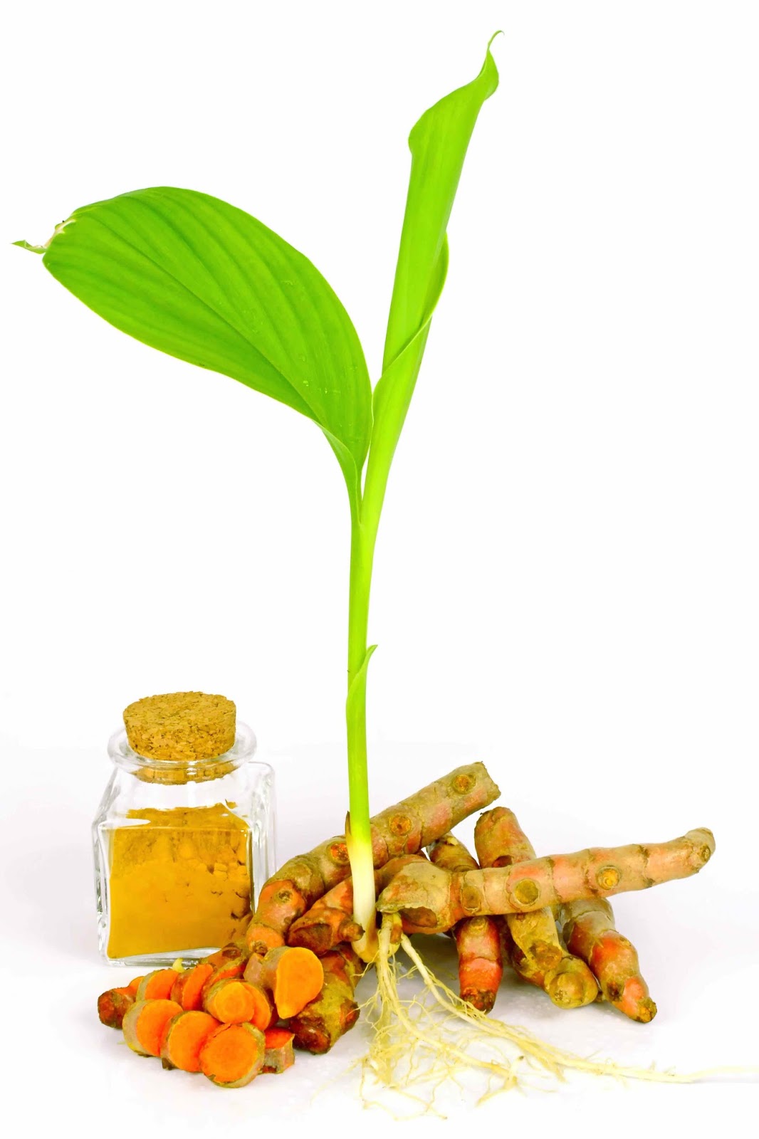 Tu Salud Para Siempre: La Cúrcuma. Especia Sanadora