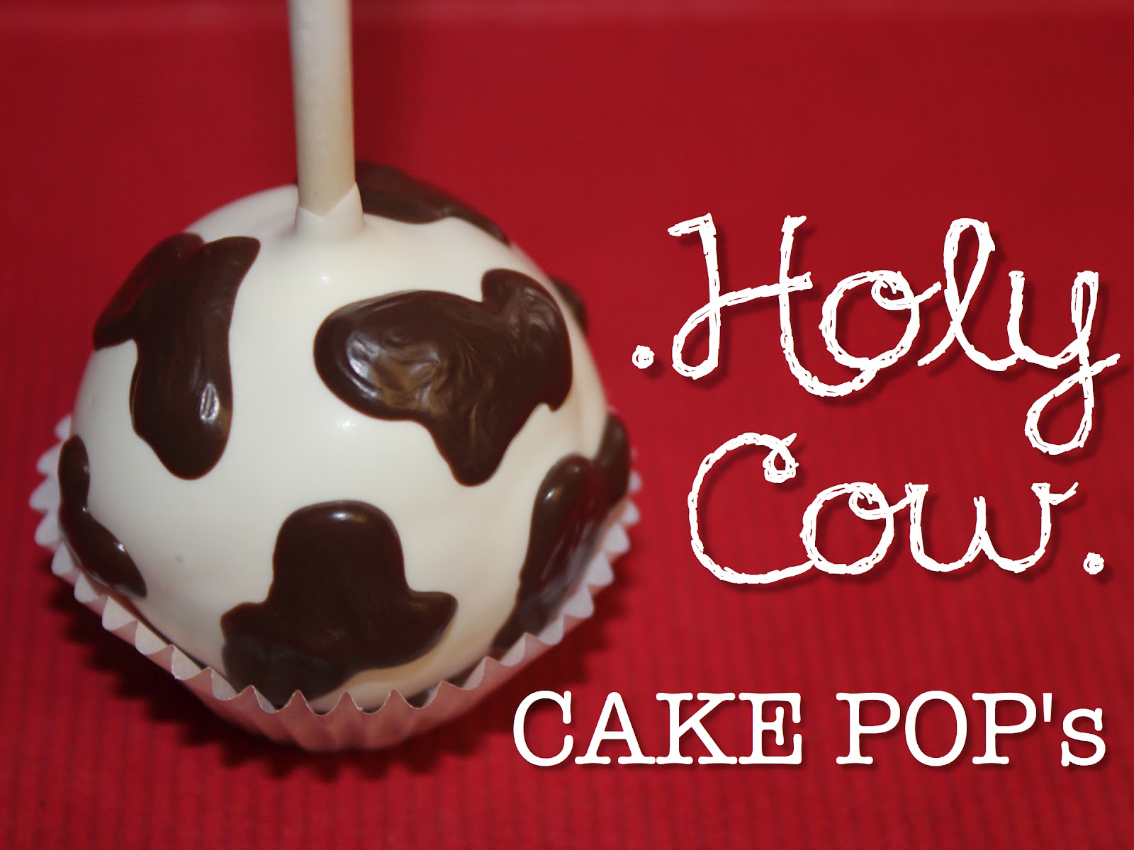 Her.BOLD.Events: {Holy Cow Cake Pop's} Back where Cake comes from...