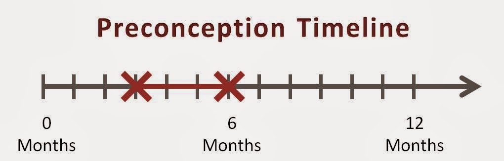 Deductive Parenting: Preconception Checklist: 100 Things To Do Before ...