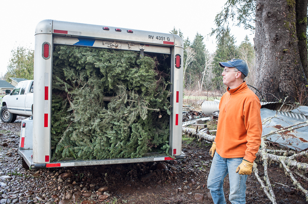 TV Trout Unlimited: Week One of Christmas Tree Ecocycling