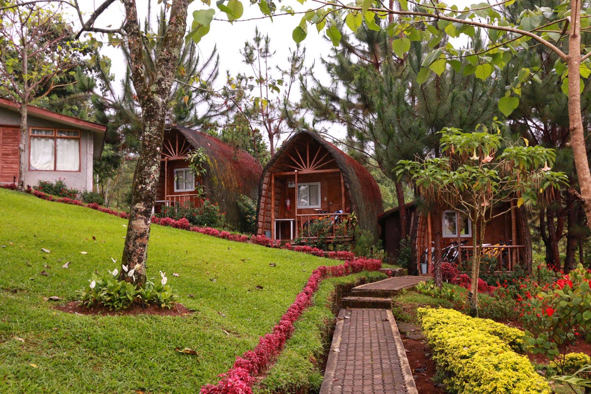 TravelWithShark: The Saddle Ridge ~ Dahilayan, Bukidnon