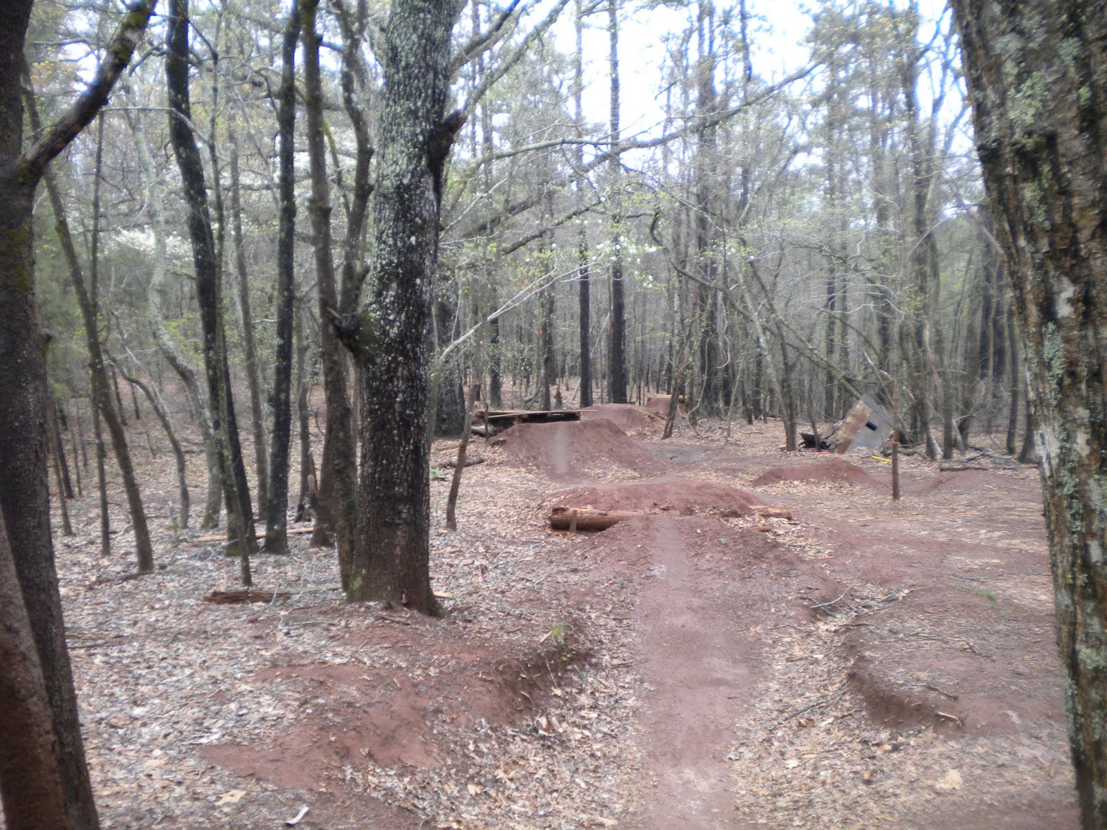 Kansas City Rasta Rider: Issaqueena Forest in pictures and captions.