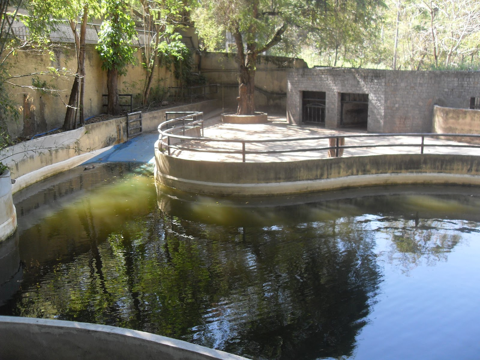 Guia Rio: RIOZOO - Fundação Jardim Zoológico da Cidade do Rio de Janeiro