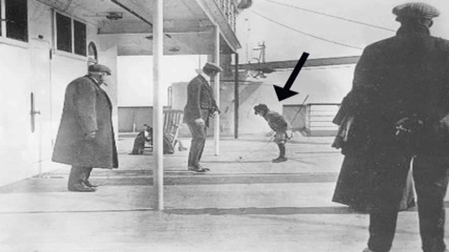 Harry S. Plinkett: Life History of Mr. Harry S. Plinkett