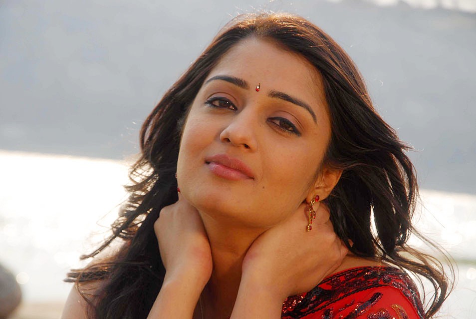 Nikitha Spicy Saree Pics |Beautiful Indian Actress Cute Photos, Movie ...