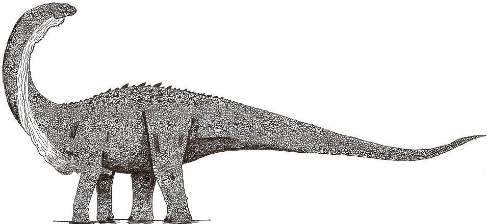 Los animales en la prehistoria: Animales prehistóricos con la letra B