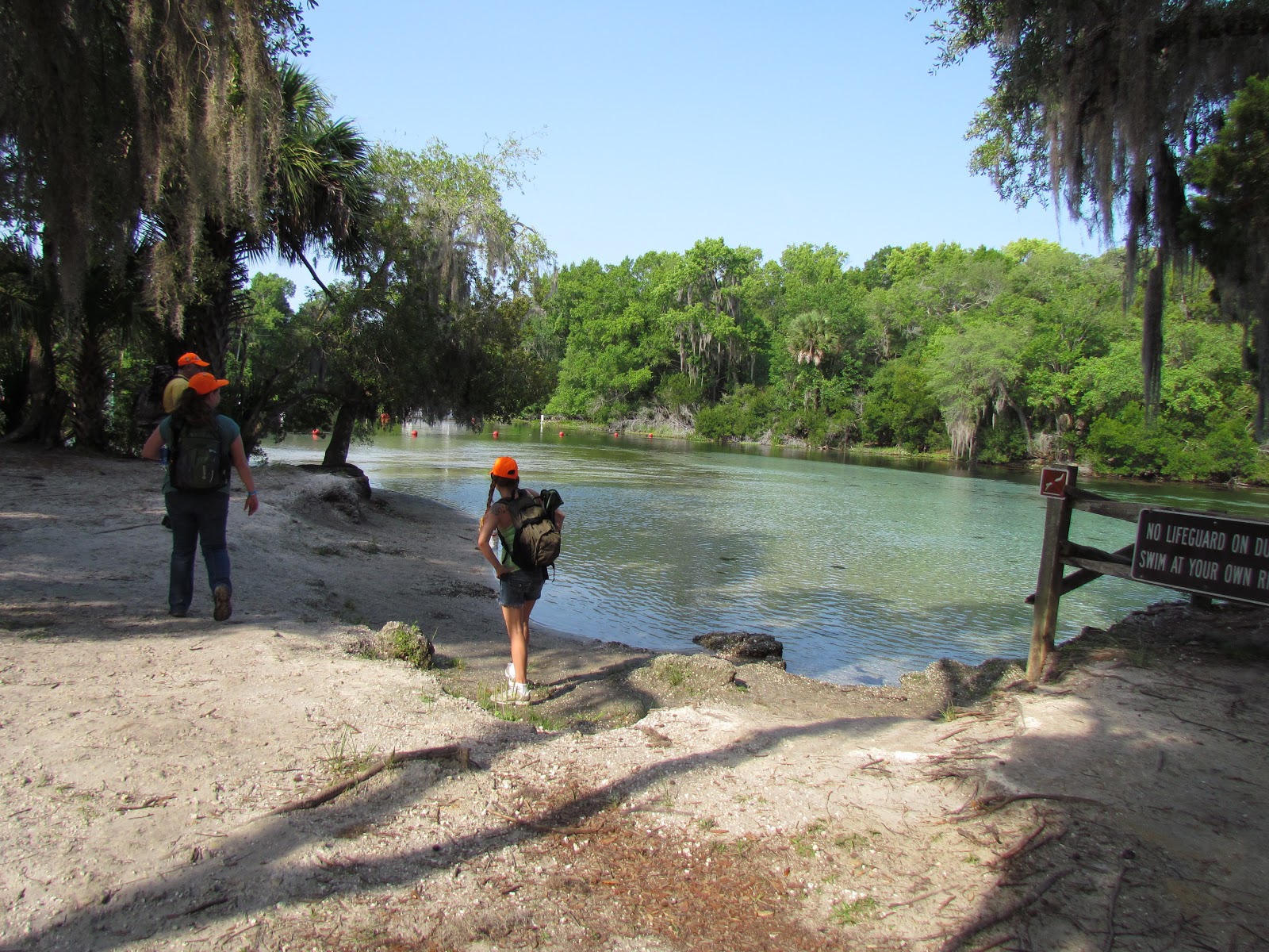 WildWildernessWalkers: Silver Glenn Springs