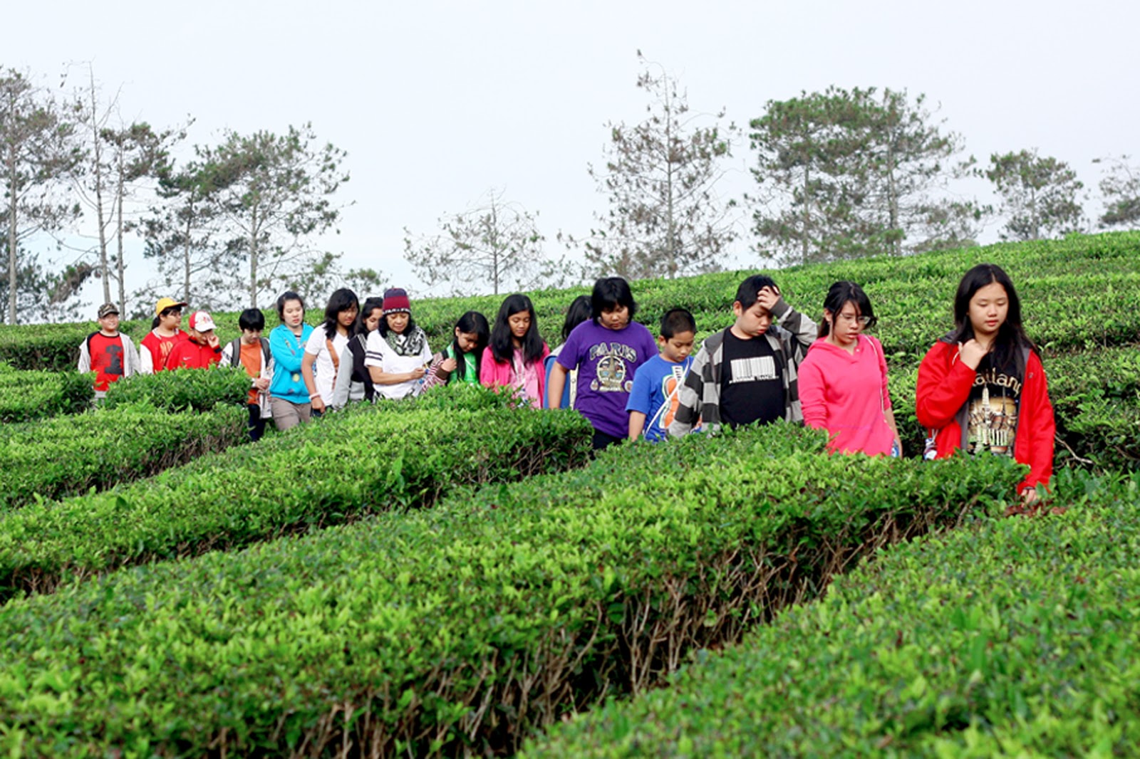 Outbound Ciwangun Indah Camp (CIC) Bandung ~ Hiace Bandung