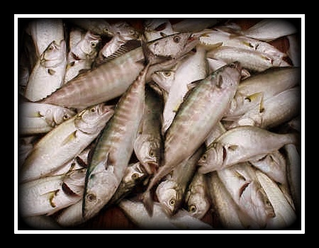 Az Gittik Uz Gittik: AYVALIK VE CUNDA ADASI ; BİRBİRİNE BAKMAYA ...