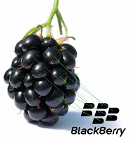 KEHIDUPAN MANUSIA: history blackberry