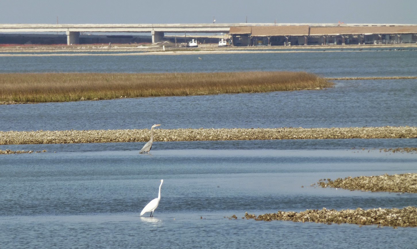 The Savage Traveler: Winter Trip 2015: Goose Island