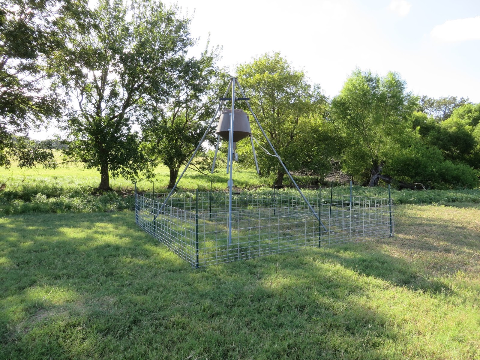 Little Bluestem Farm: Hog Panels