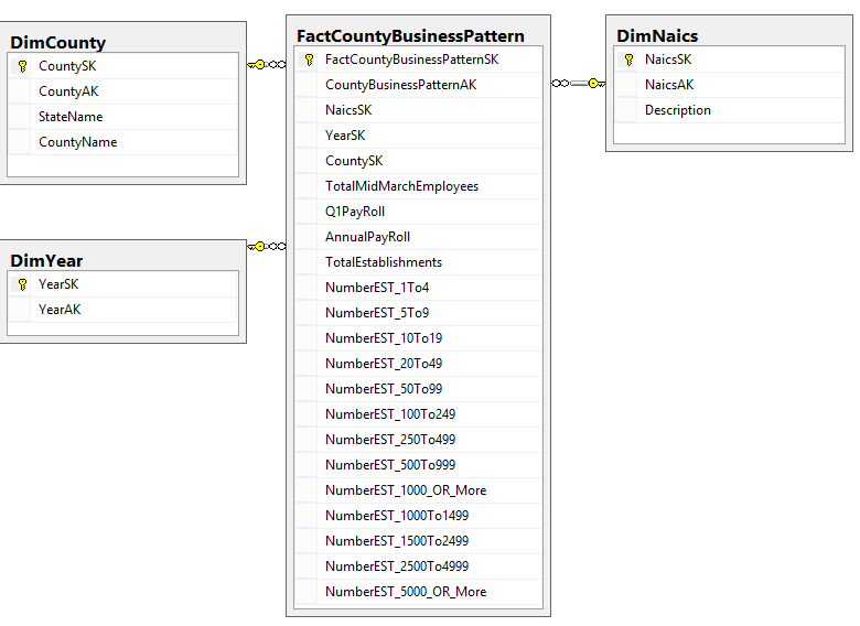 Data Warehouse / BI - US County Business Patterns: DW Database Design ...