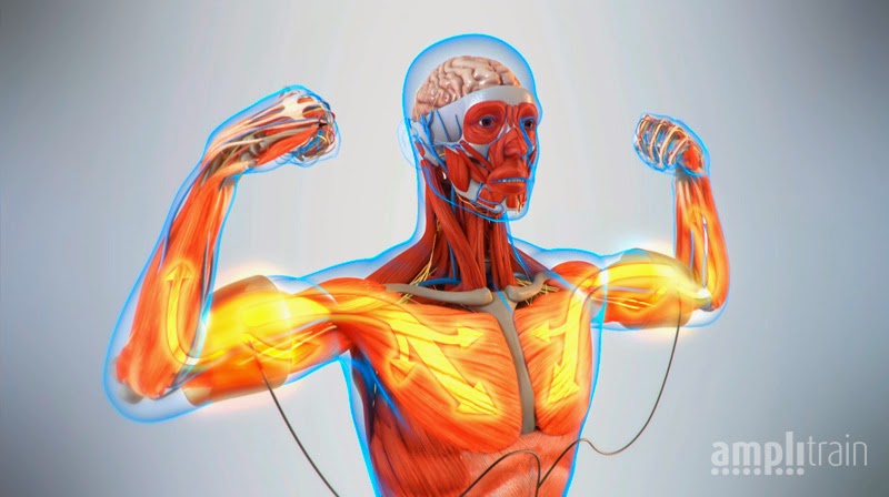 Electroterapía (Corriente farádica, corriente galvánica y TENS): TENS ...