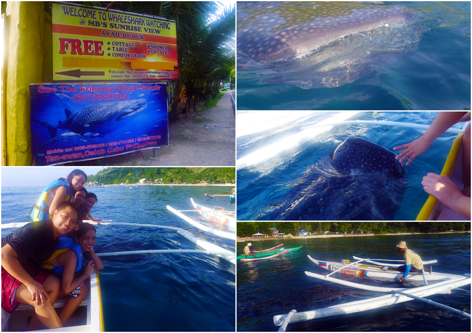 Ms. Jhessy Wandering Free: South of Cebu | Oslob, Butanding and Tumalog ...