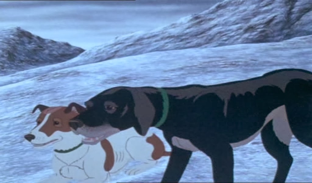 Cine en tu cara: The Plague Dogs - 1981