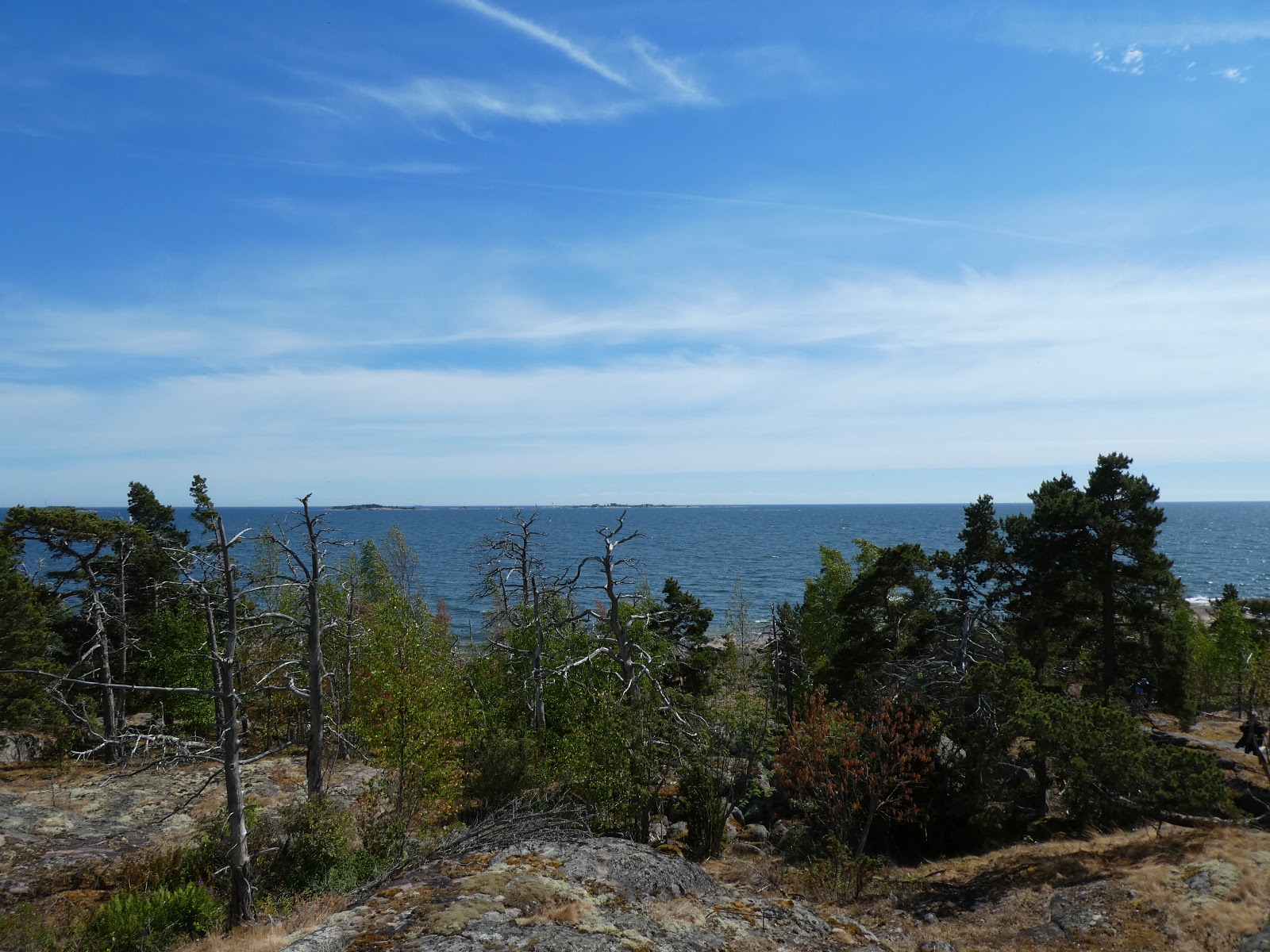 Sivusilmällä: Melkki – saari, joka pelastui