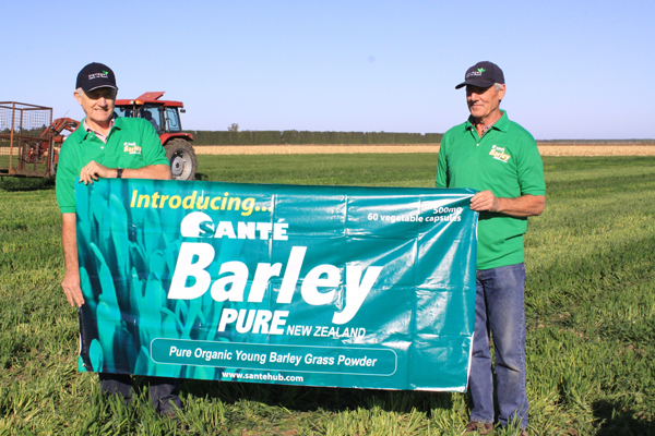 BENEFITS OF PURE BARLEY GRASS: BENEFITS OF PURE BARLEY GRASS NEW ZEALAND