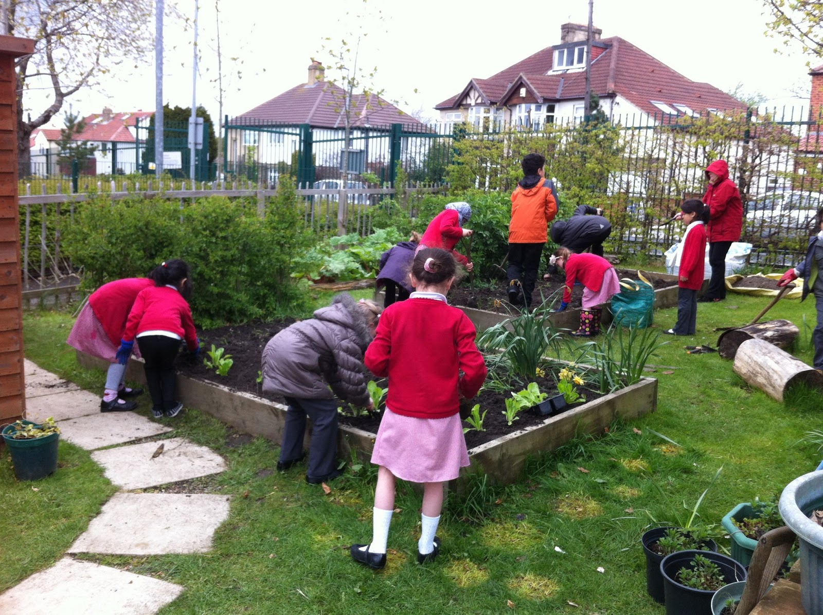 Welcome to Cookridge Primary School's Garden: Little Green Fingers ...