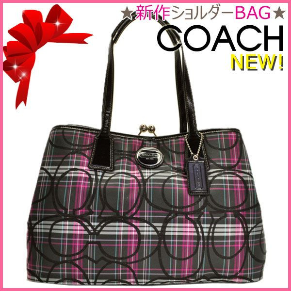 Authentic Bagz for SURE !!: COACH Signature Tartan Framed Carryall ...