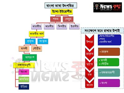 বাংলা ভাষার উৎপত্তি | বাংলা ভাষার ইতিহাস | History Of Bengali Language ...