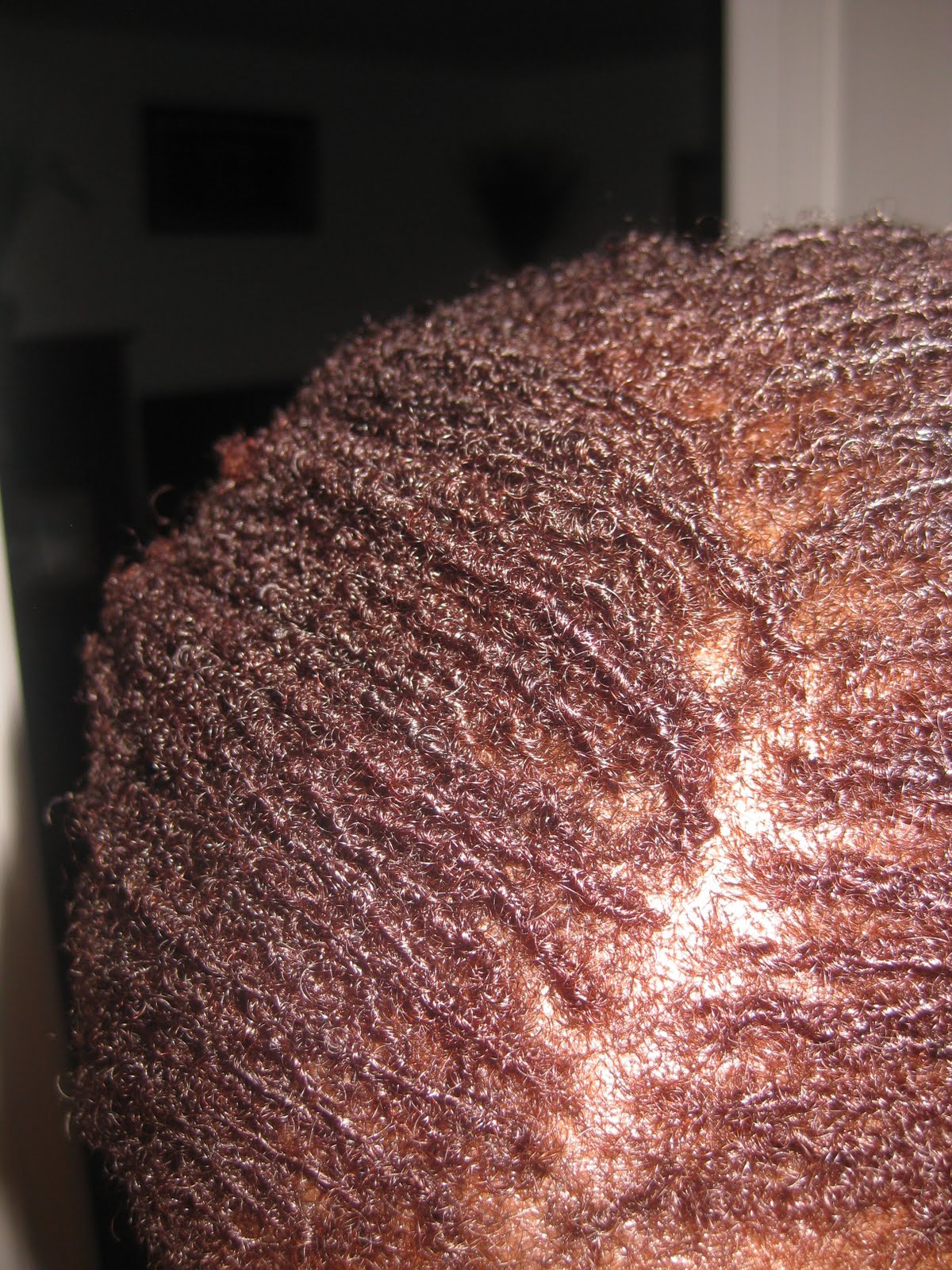 Kreyola's Journeys: Reviews: Naturtint Terracotta Blonde (7C) & Ebony ...